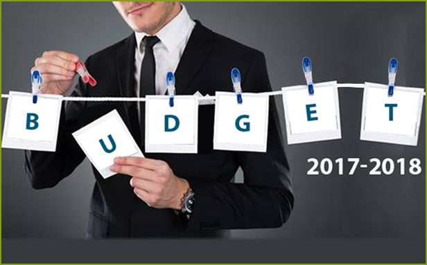 Budget pick 2017-18 report.